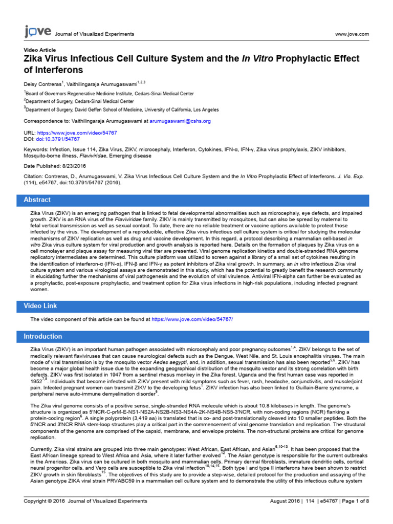Jove Protocol 54767 Zika Virus Infectious Cell Culture System The Vitro ...