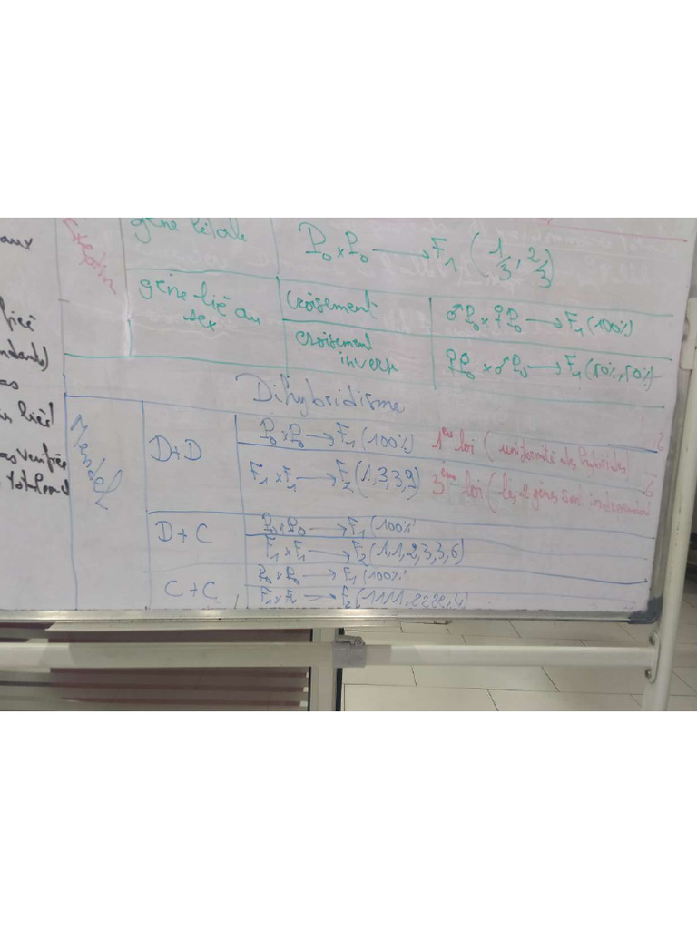 Img 20250208 161530 | PDF