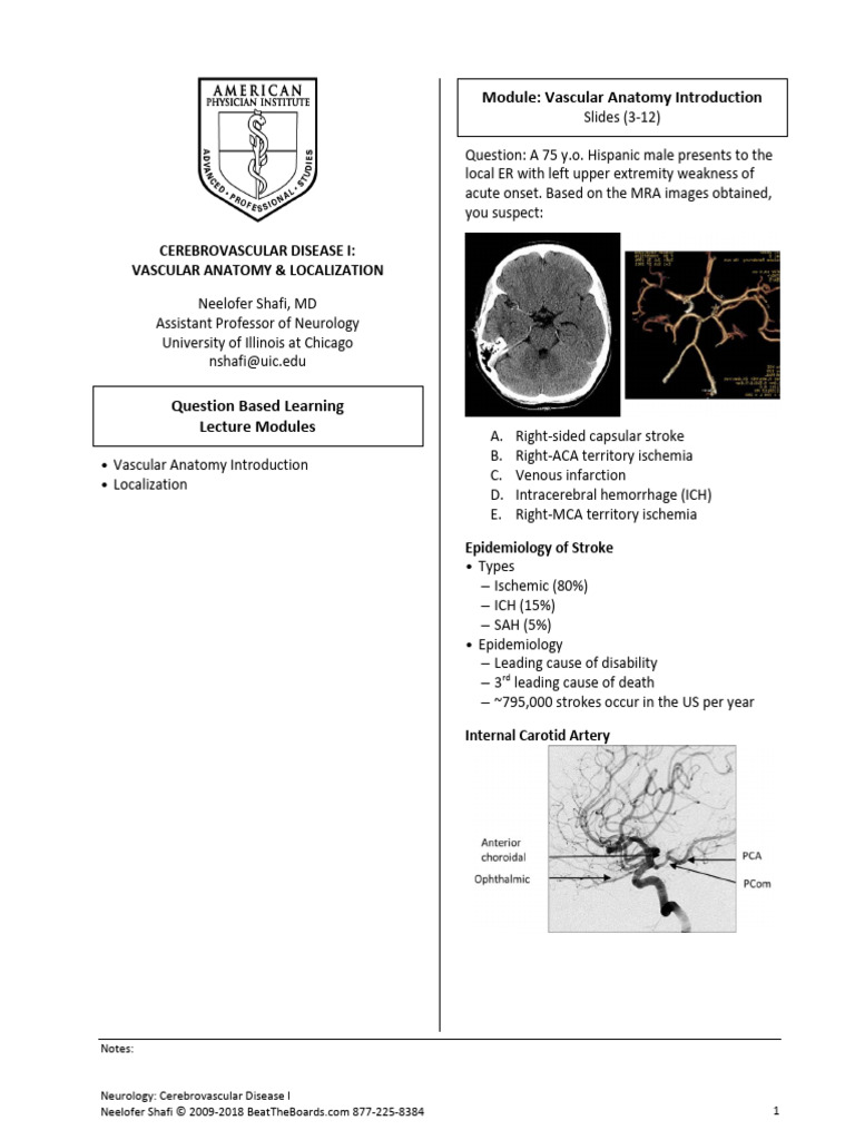 Module: Vascular Anatomy Introduction | PDF | Stroke | Neuroscience