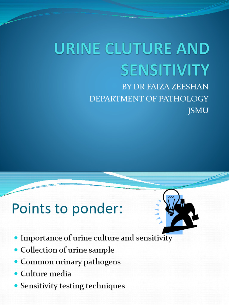 Urine Culture and Sensitivity Overview | PDF | Microbiology