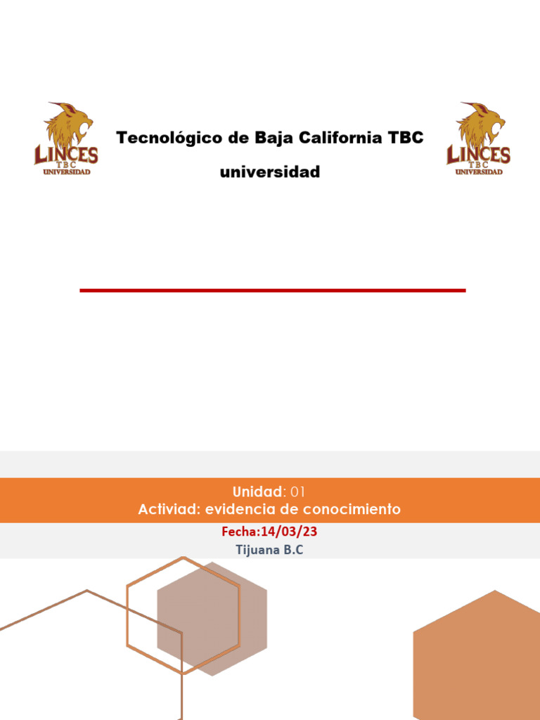 Imec Elecana Ec Uemg | PDF
