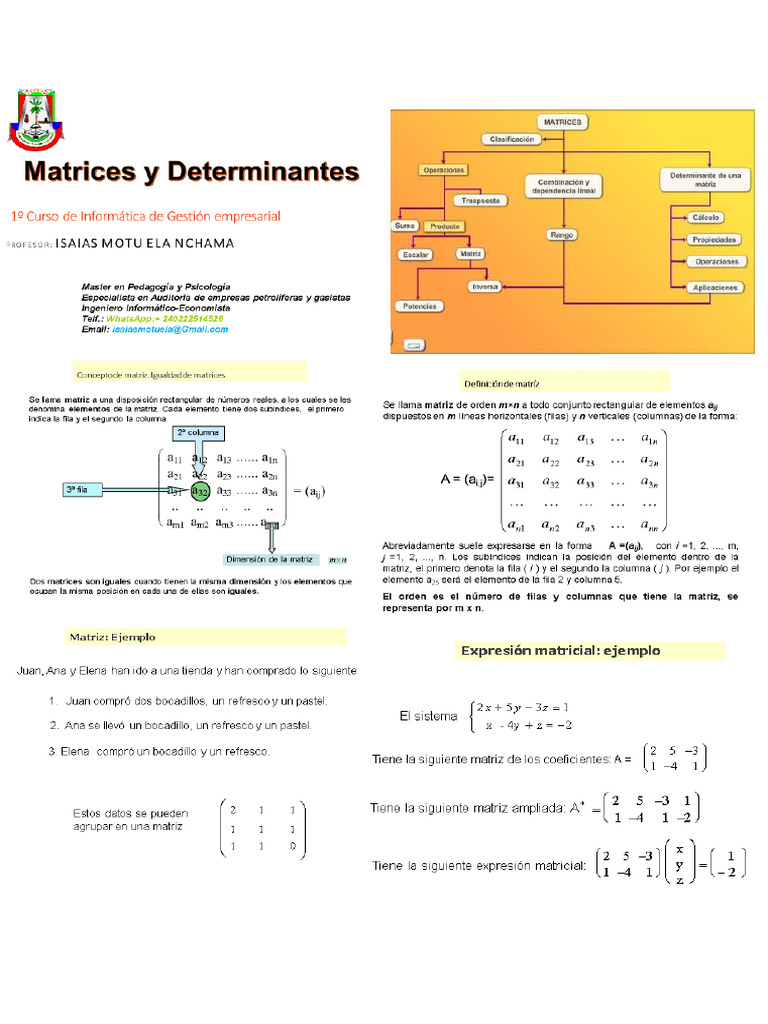 Resumen Matrices y Determinantes | PDF