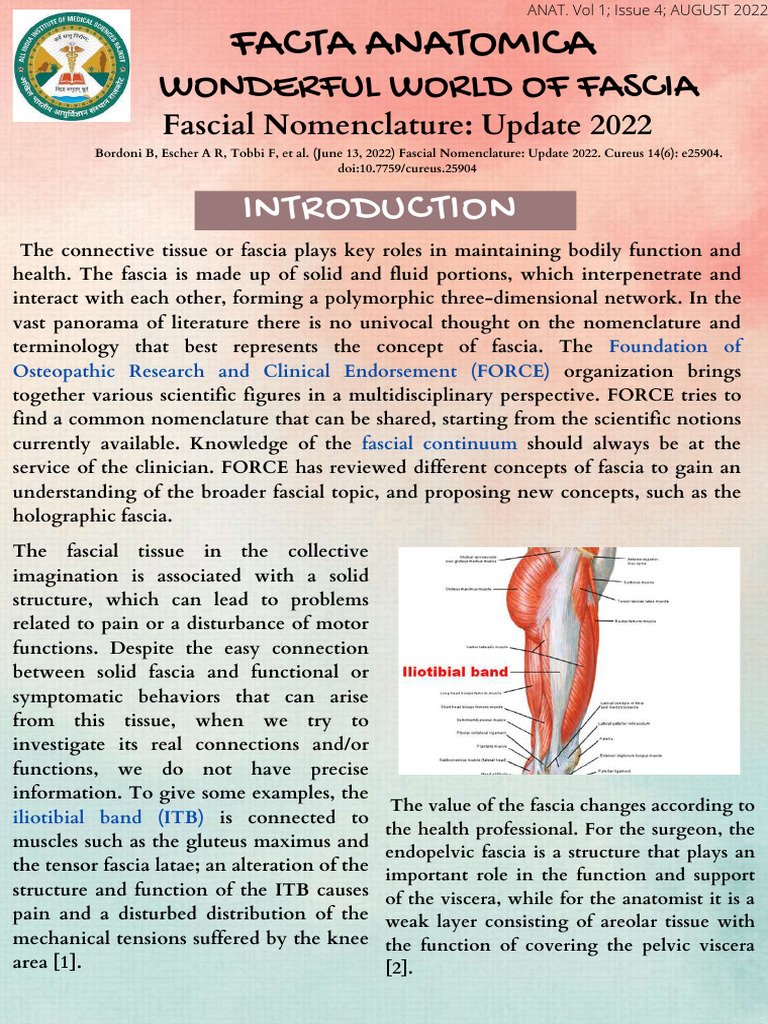 Superficial Fascia: Nomenclature Update | PDF | Tissue (Biology) | Anatomy