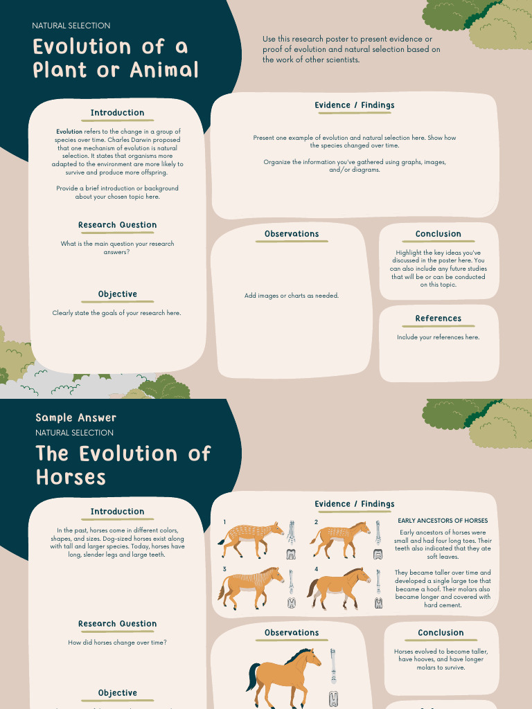 Plant and Animal Evolution Activity Research Poster in Hand Drawn Style ...