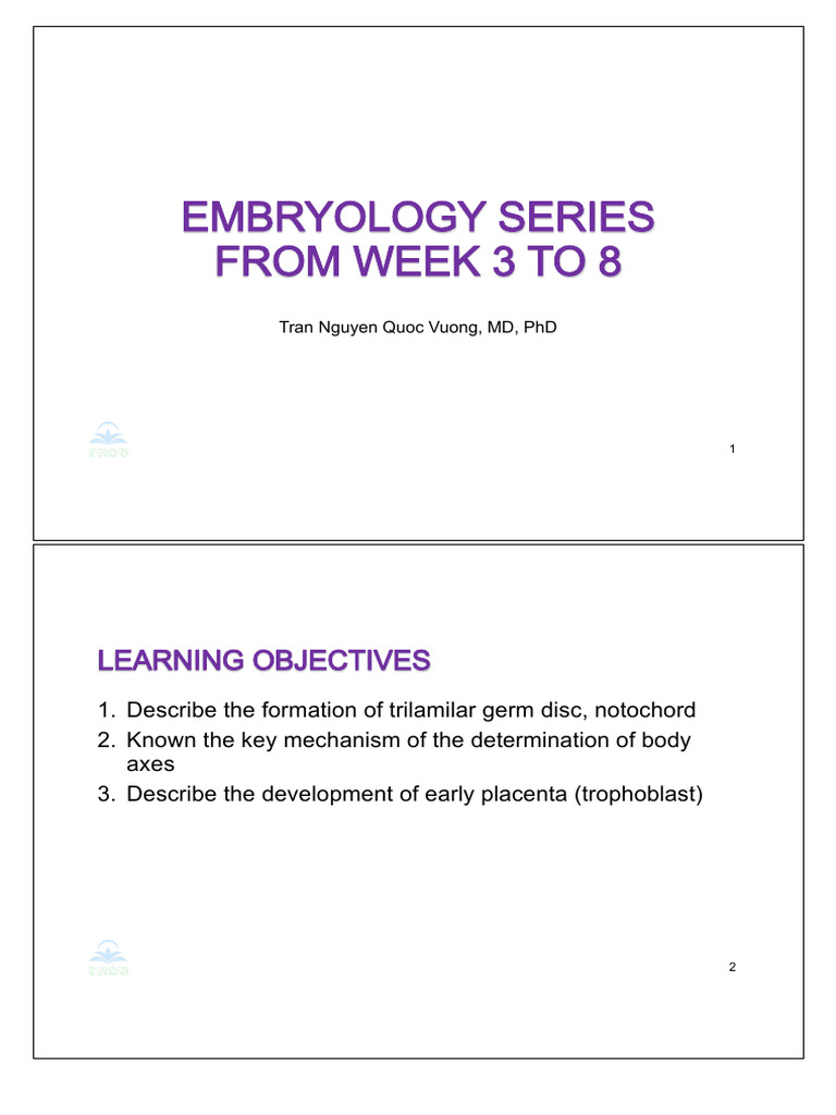 3-8 Weeks - Placenta - Defects - en | PDF | Twin | Developmental Biology