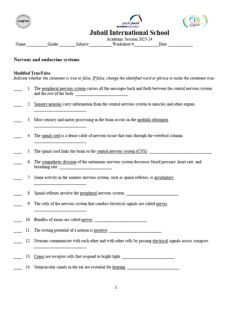 Nervous and Endocrine Systems Worksheet | PDF | Hormone | Chemical Synapse