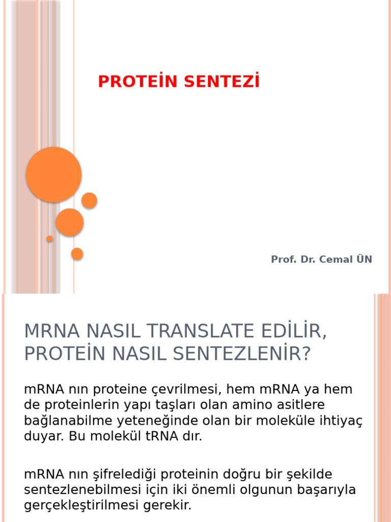 Protein Sentezi | PDF