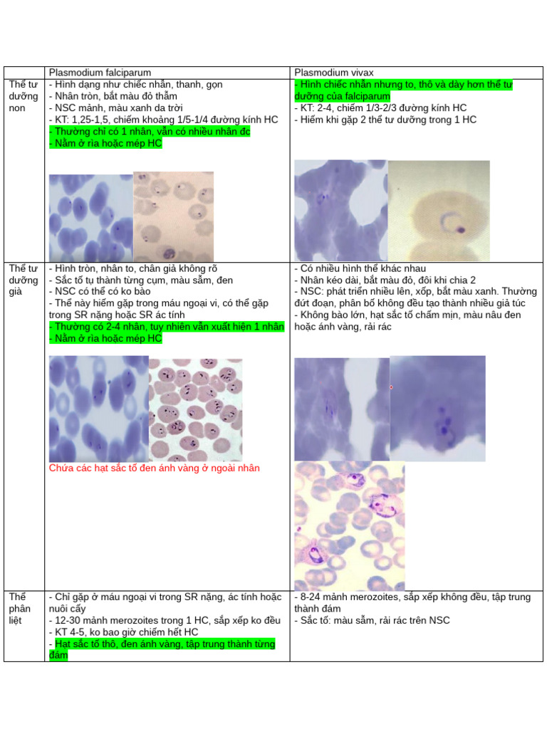 Lab 4 S2.2 | PDF