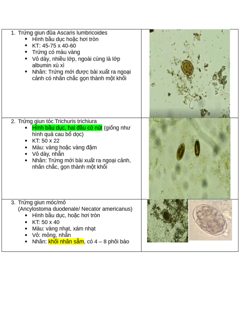 Lab 3 S2.2 | PDF