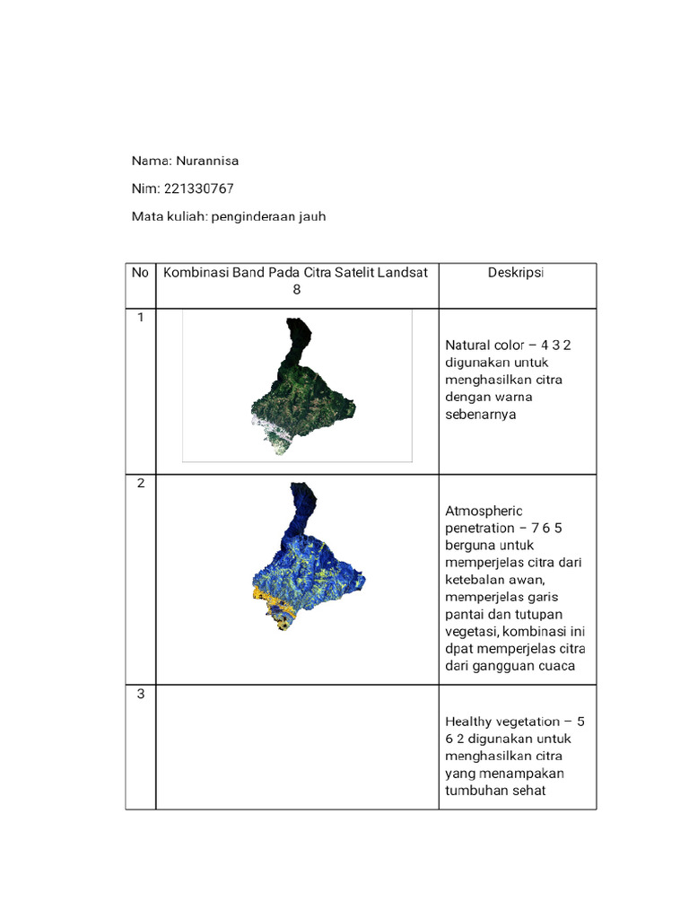 Tugas 1 Nur Anisa | PDF