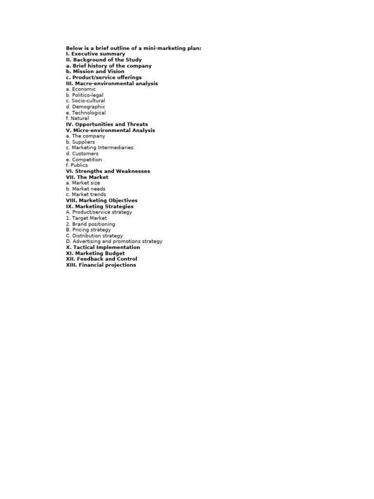 Mini-Marketing Plan Outline Guide | PDF