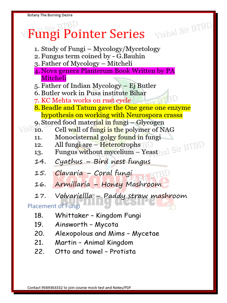 Fungi Pointer Series | PDF | Fungus | Mycology