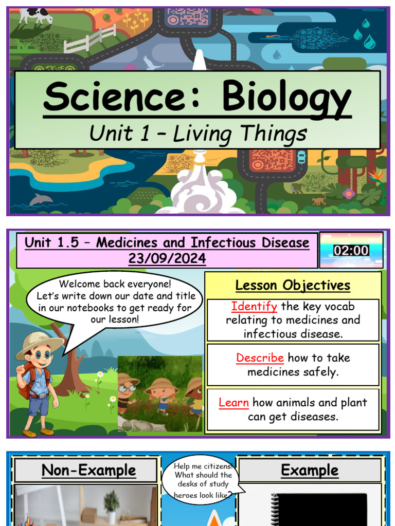 Medicines and Infectious Diseases Overview | PDF | Classroom | Frog
