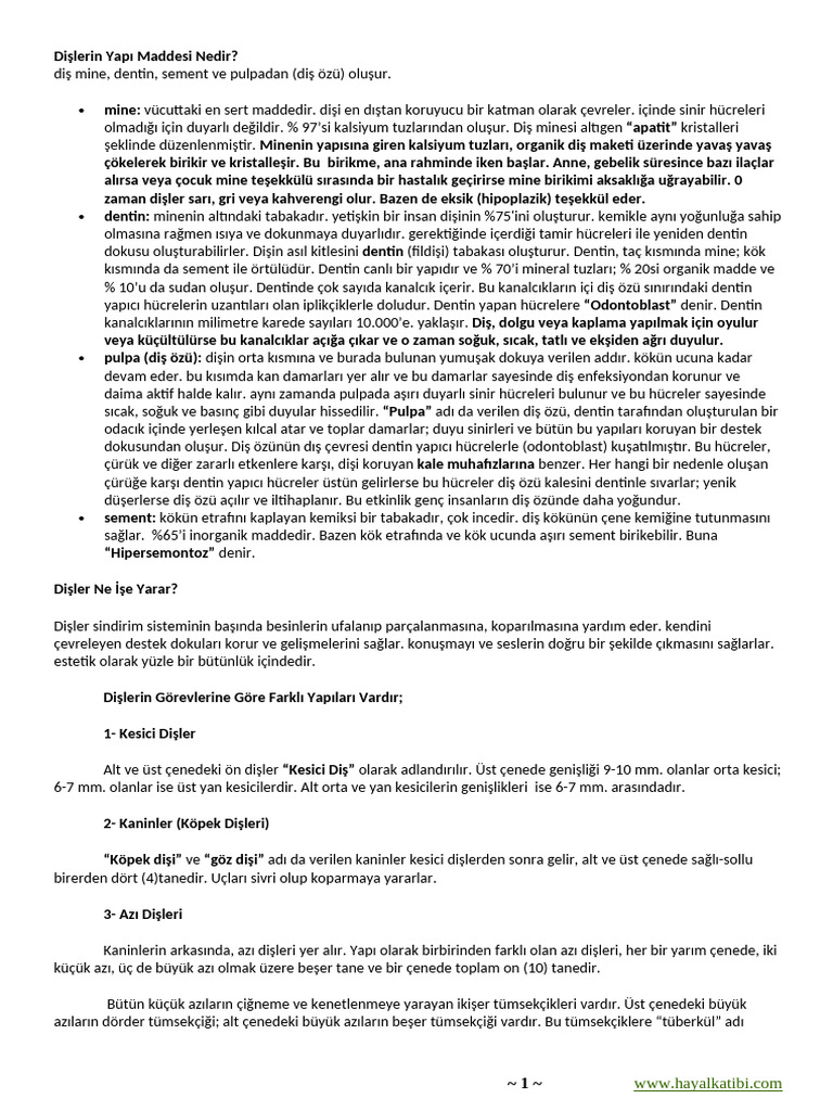 Agiz Ve Dis Sagligi Hakkinda Genel Bilgi | PDF