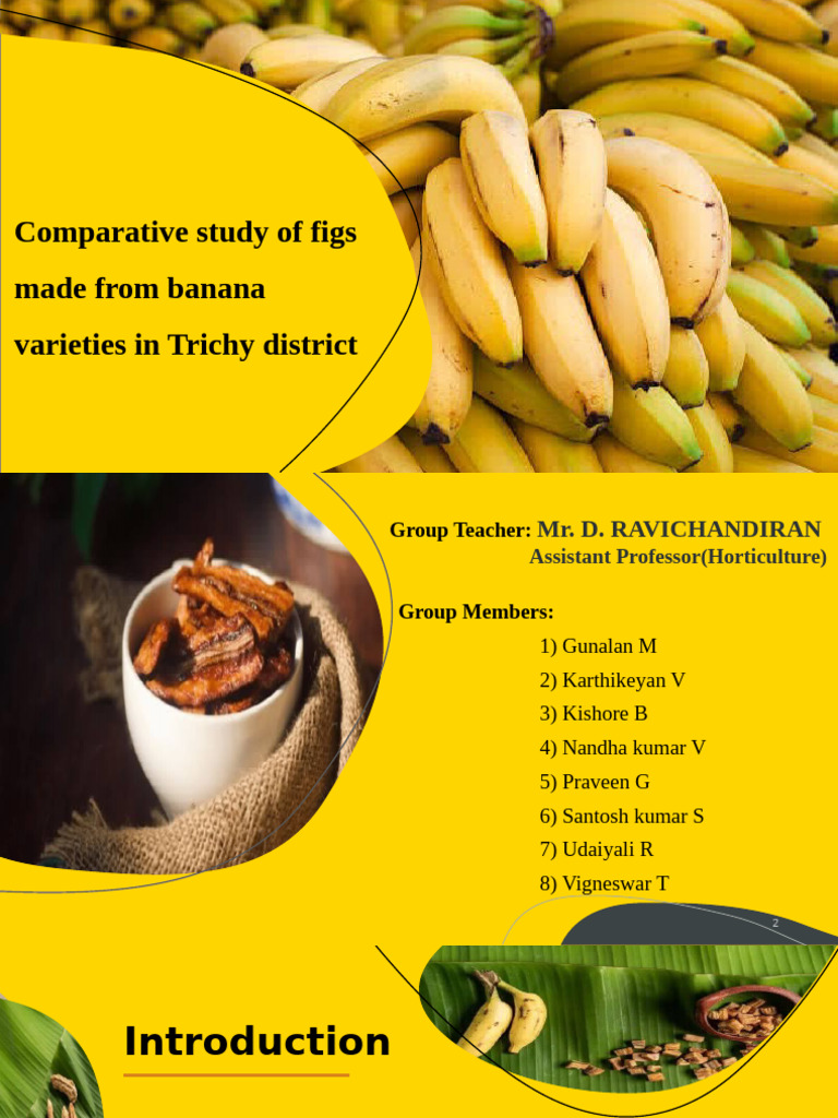 Banana Project 1 | PDF