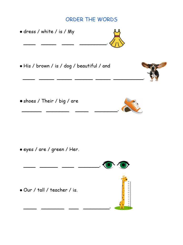 Word Order Exercises for Beginners | PDF