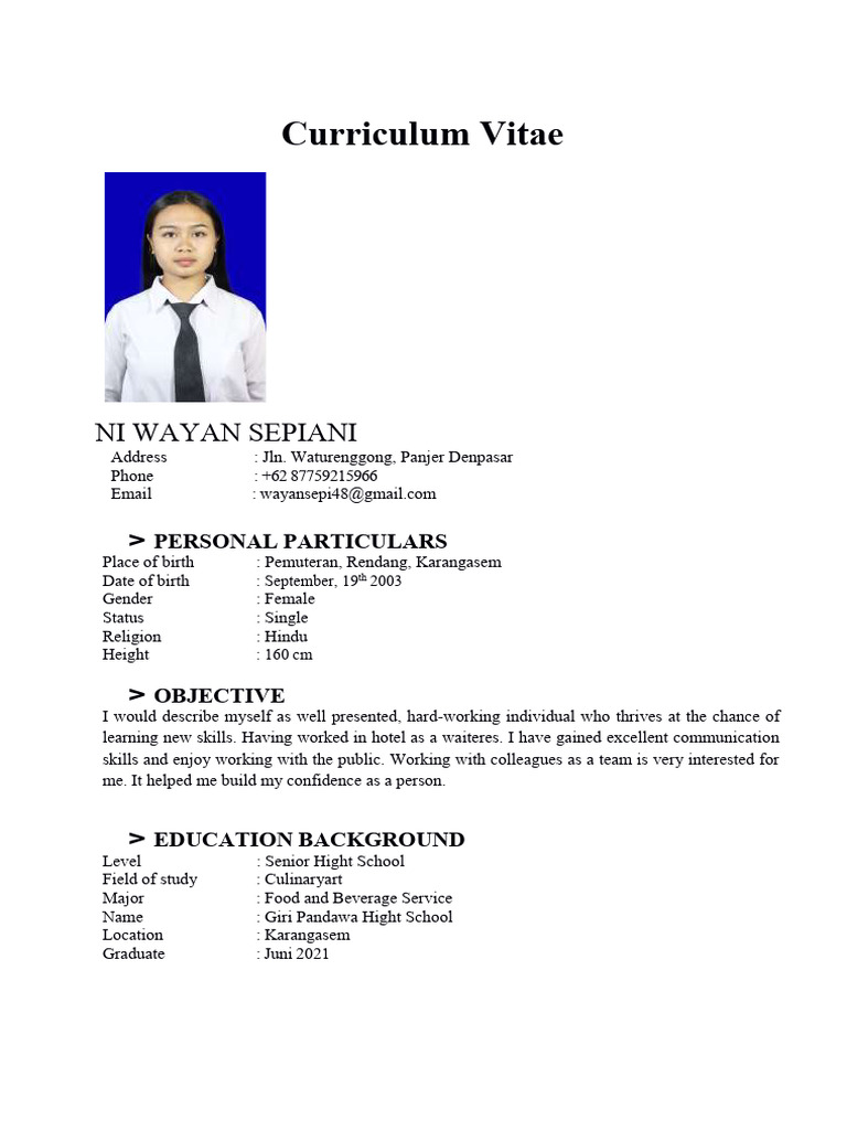 Curriculum Vitae - Sepiani - 035307 Baru | PDF | Learning | Communication