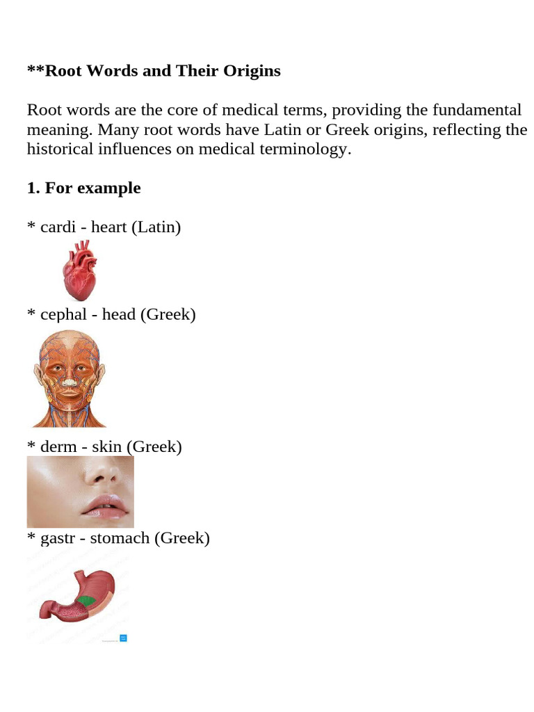 Root Words and Their Origins (1) | PDF