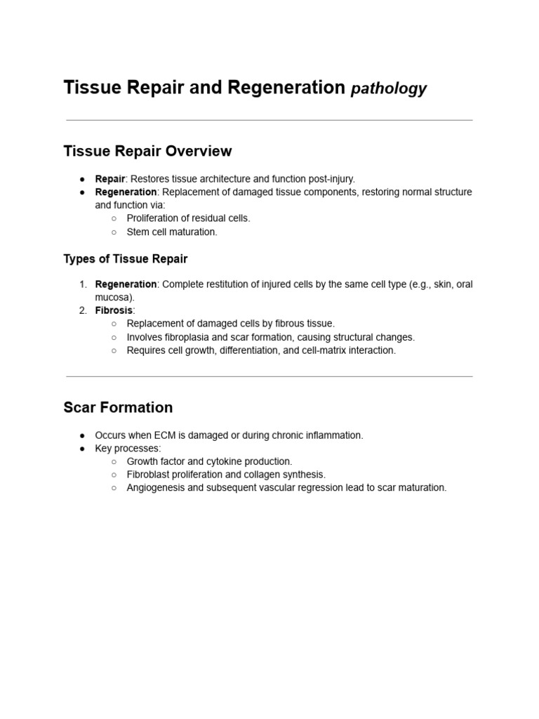 Tissue Repair and Regeneration Overview | PDF | Wound Healing ...