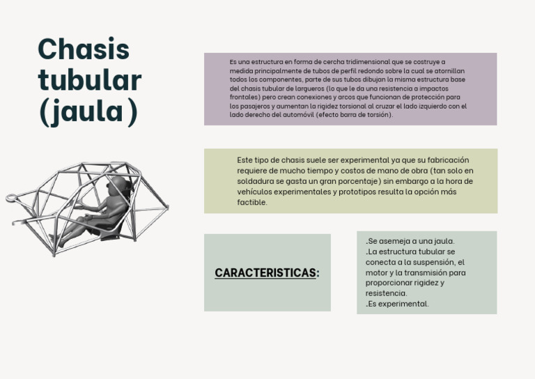 Organizador Gráfico Sobre Escritura Infografía Profesional Colores ...