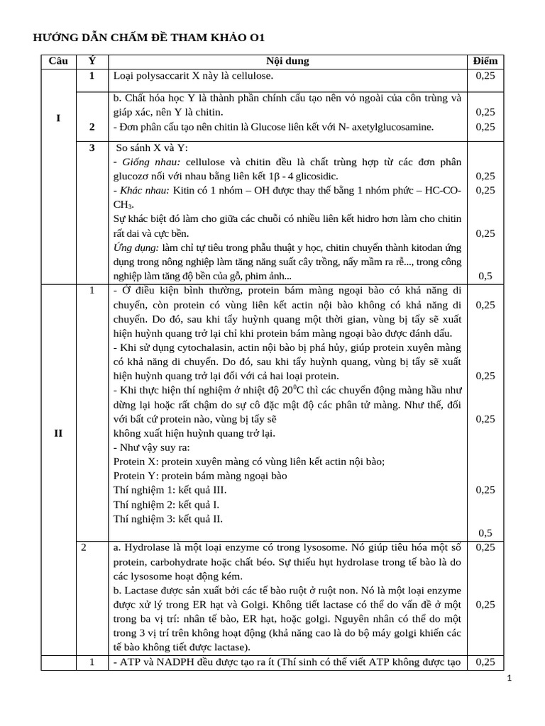 Dap An de Tham Khao HSG 01 | PDF