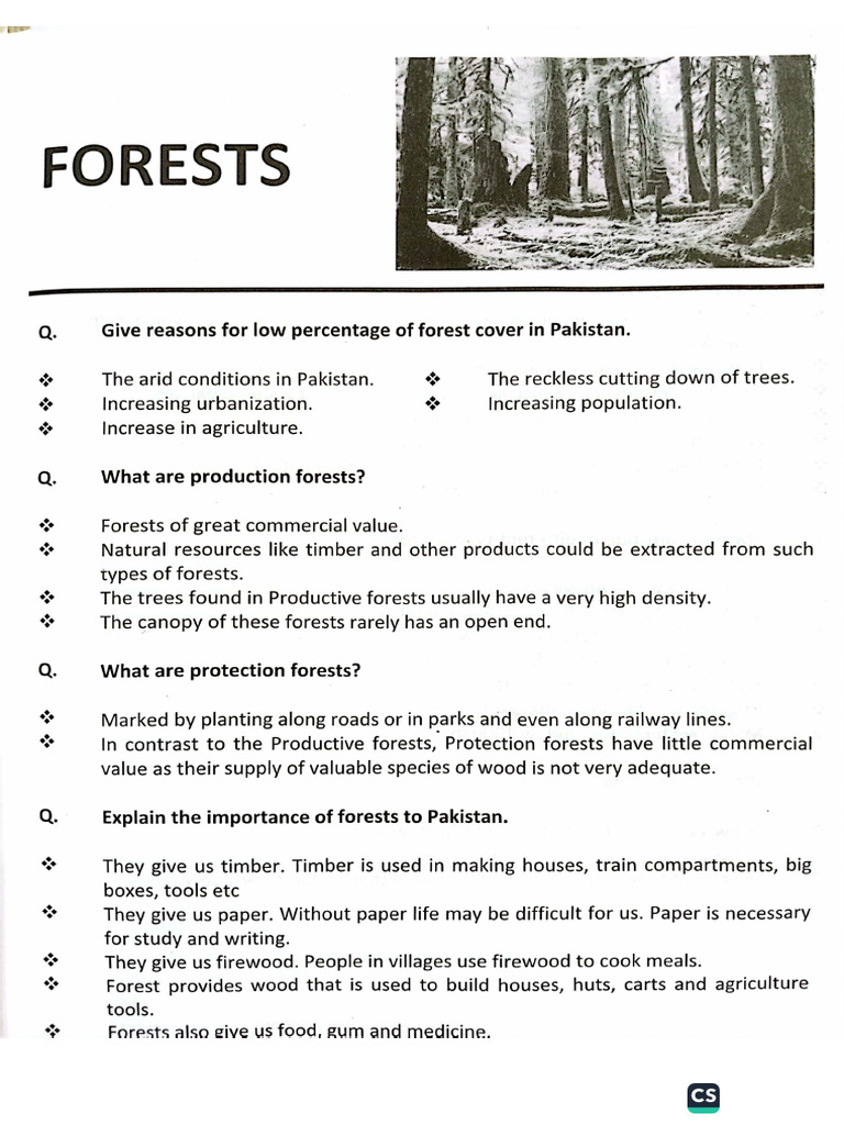 Forests | PDF