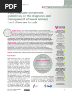 Cyniclomyces Guttulatus | PDF | Pathology | Dogs