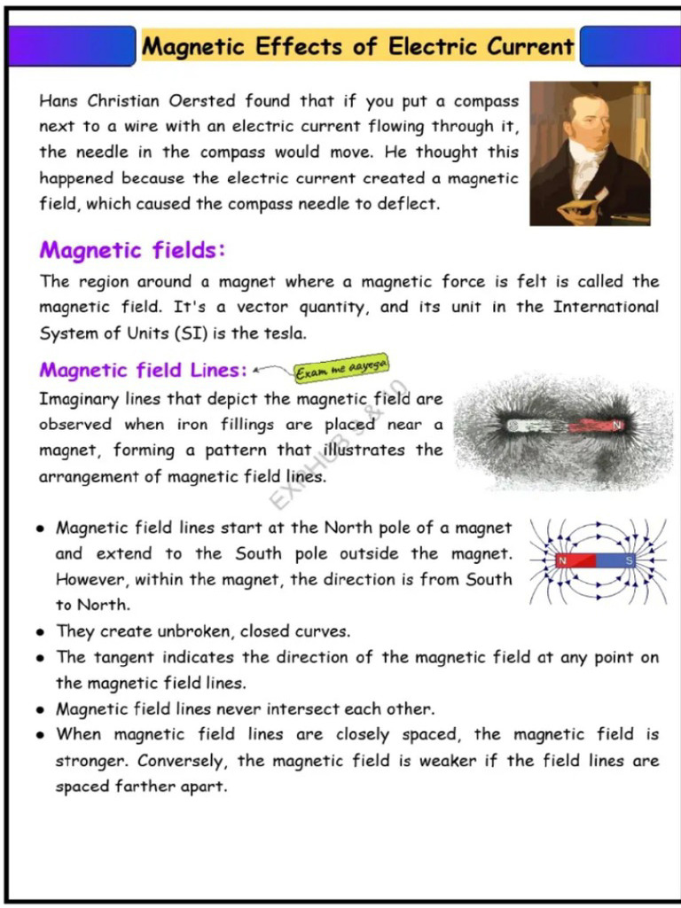 Magnetism Notes | PDF