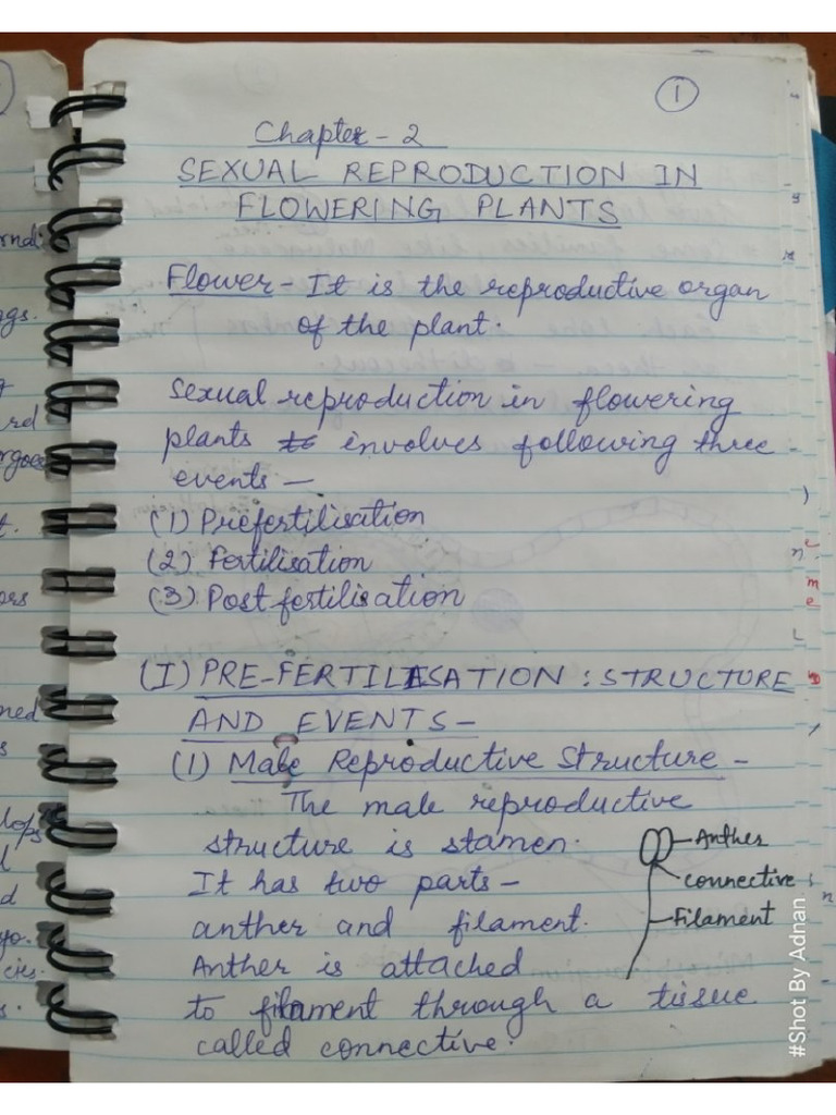 Bio Ch 1 Sexual Reproduction In Flowering Plants Pdf