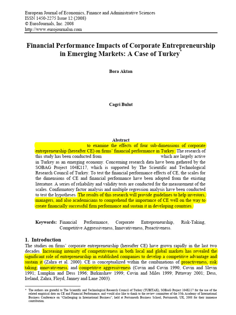 Aktan2007CEfinancialperformance | PDF | Entrepreneurship | Risk