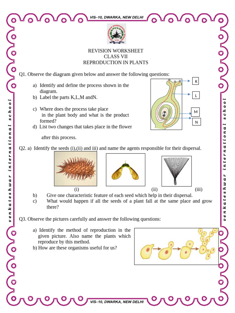 Reproduction in Plants Class VII 23 | PDF | Biological Interactions ...