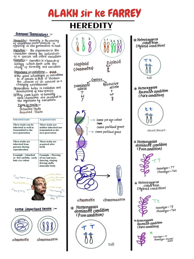 Heredity Handwritten Notes | PDF