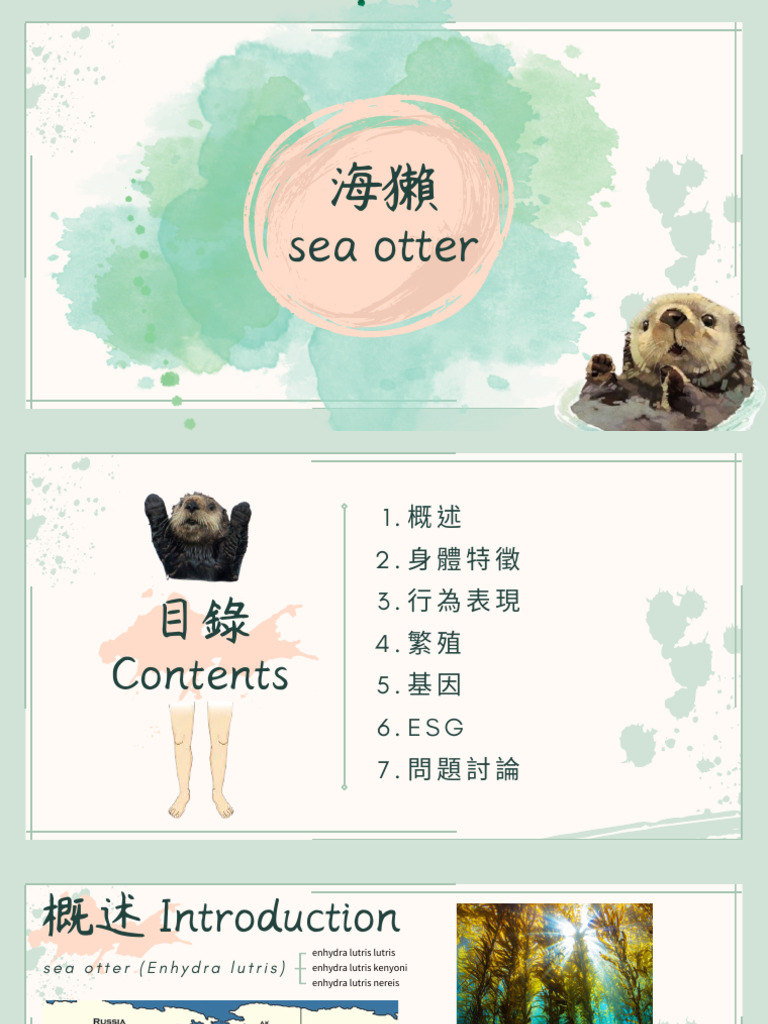 Sea Otter PDF | PDF