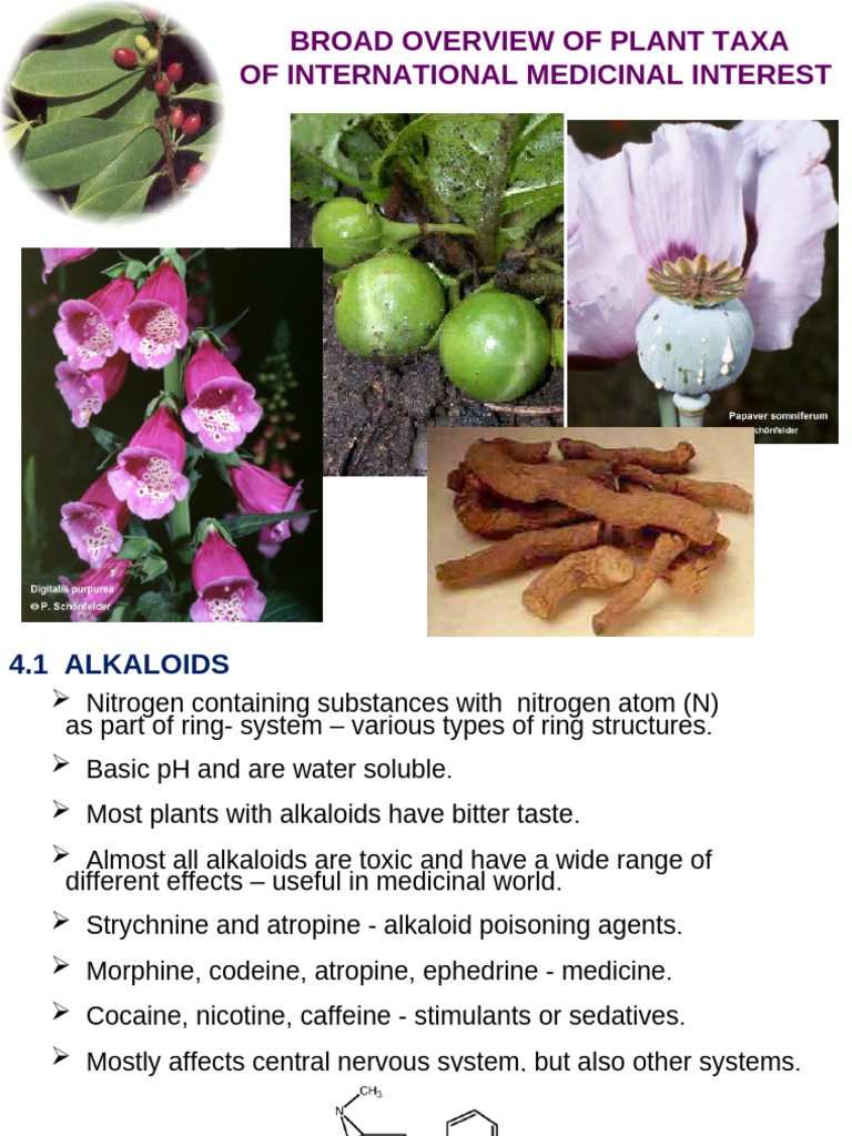 F Plant Taxa of International Medicinal Importance | PDF | Alkaloid | Opium