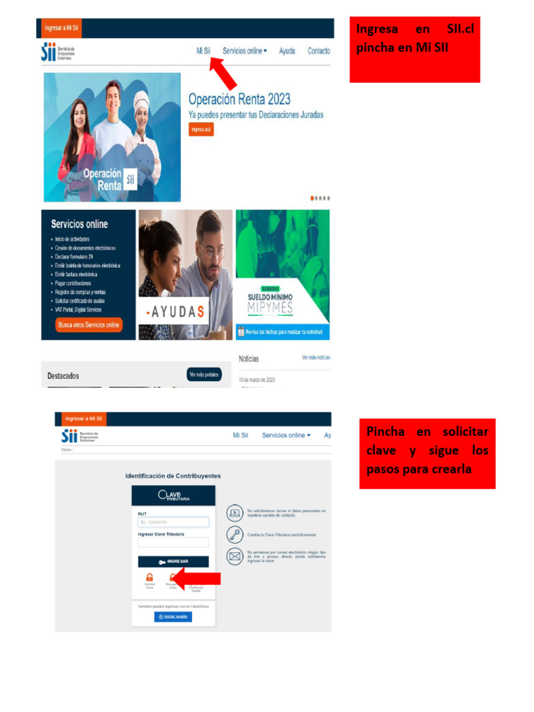 Manual Solitar Carpete - Sii | PDF