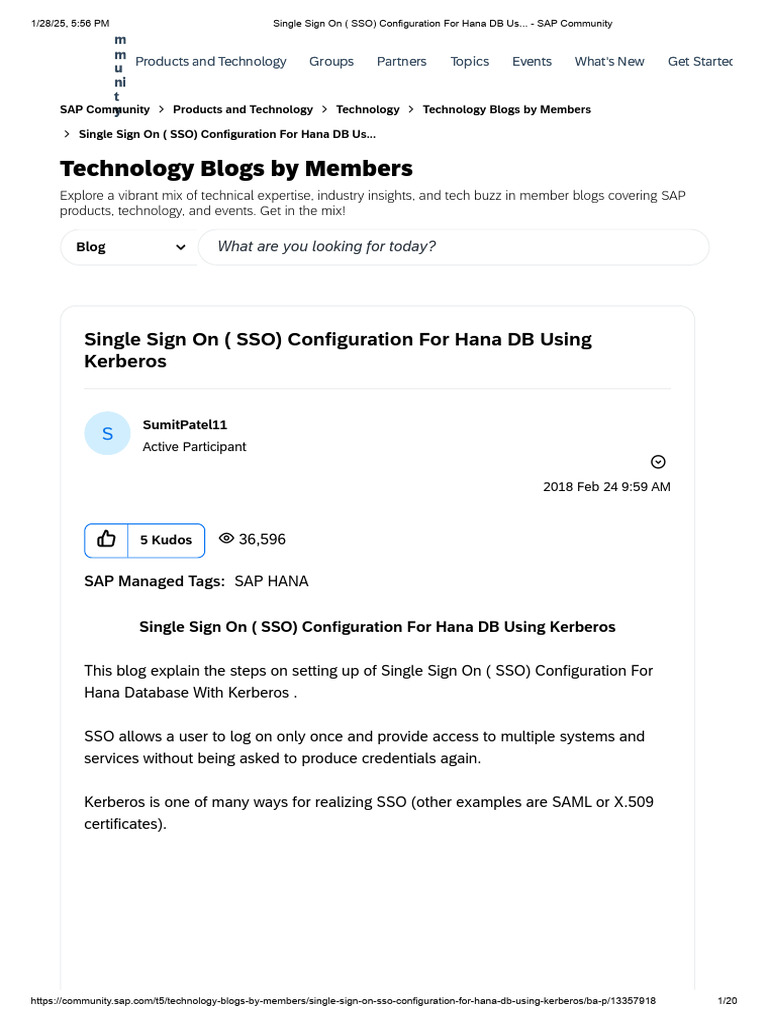 SAP HANA SSO Configuration Guide | PDF | Computing | Computer Science