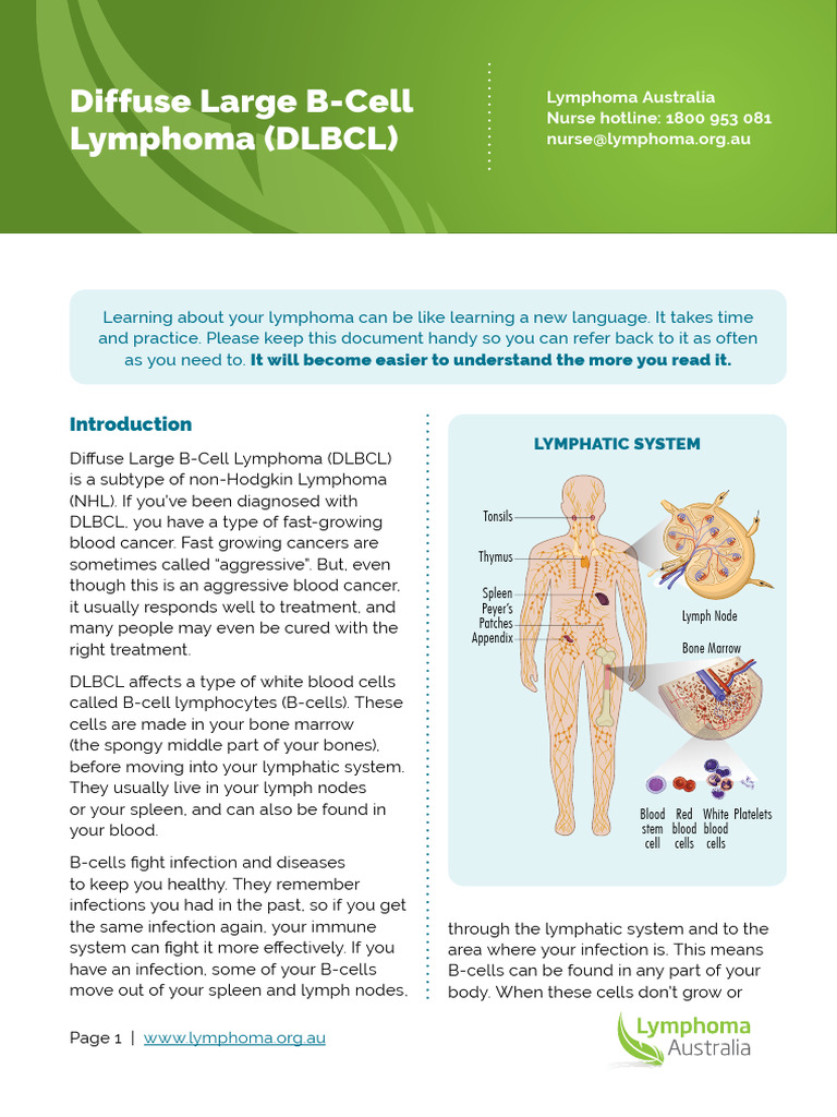 2022 DLBCL FactSheet FAweb | PDF | Lymphatic System | Lymphoma