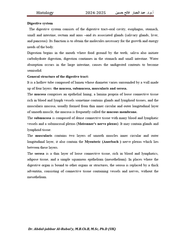 Digestive System, Lecture 1 | PDF | Esophagus | Stomach