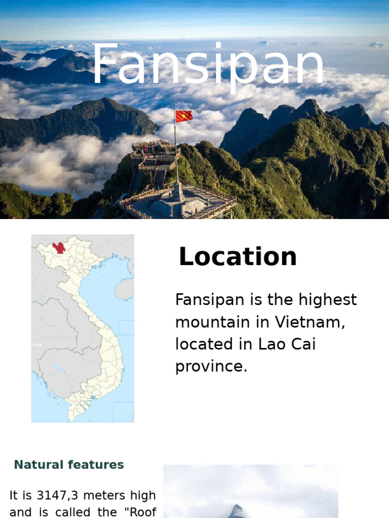 Green Modern Conservation Presentation | PDF