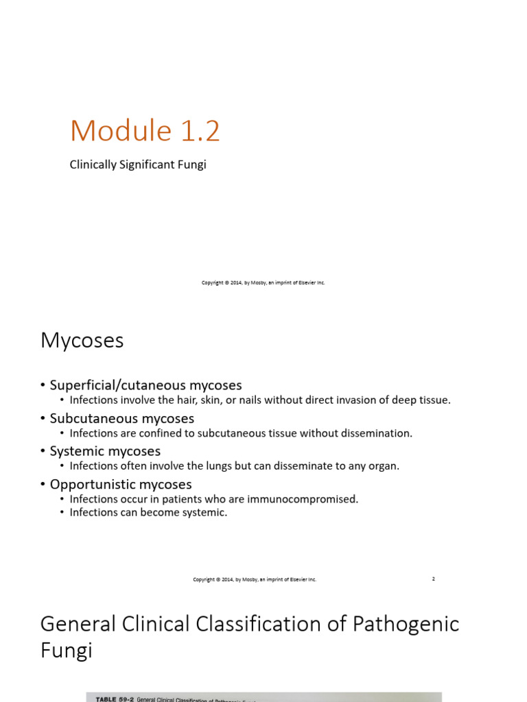Module 1.2 Clinically Significant Fungi | PDF | Organisms | Biology