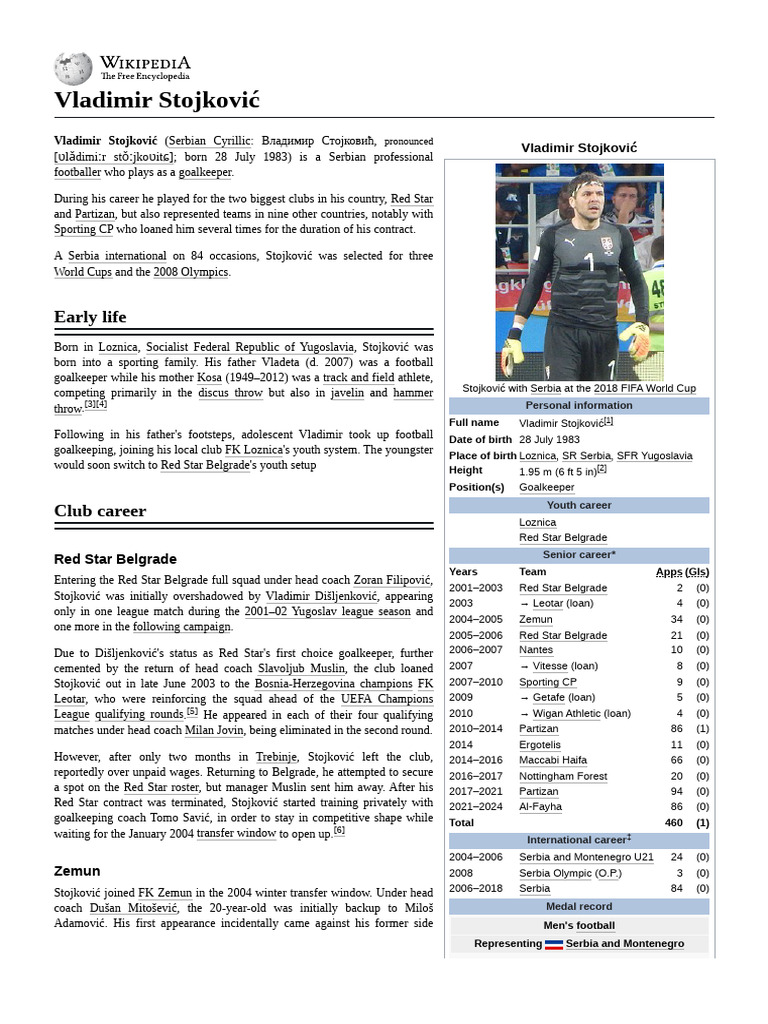 Vladimir Stojković: Serbian Goalkeeper | PDF | Association Football ...