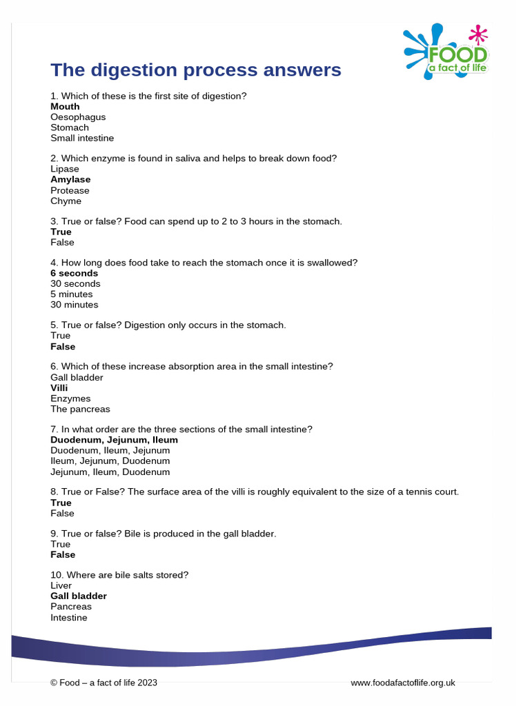The Digestion Process KQ 1416he | PDF