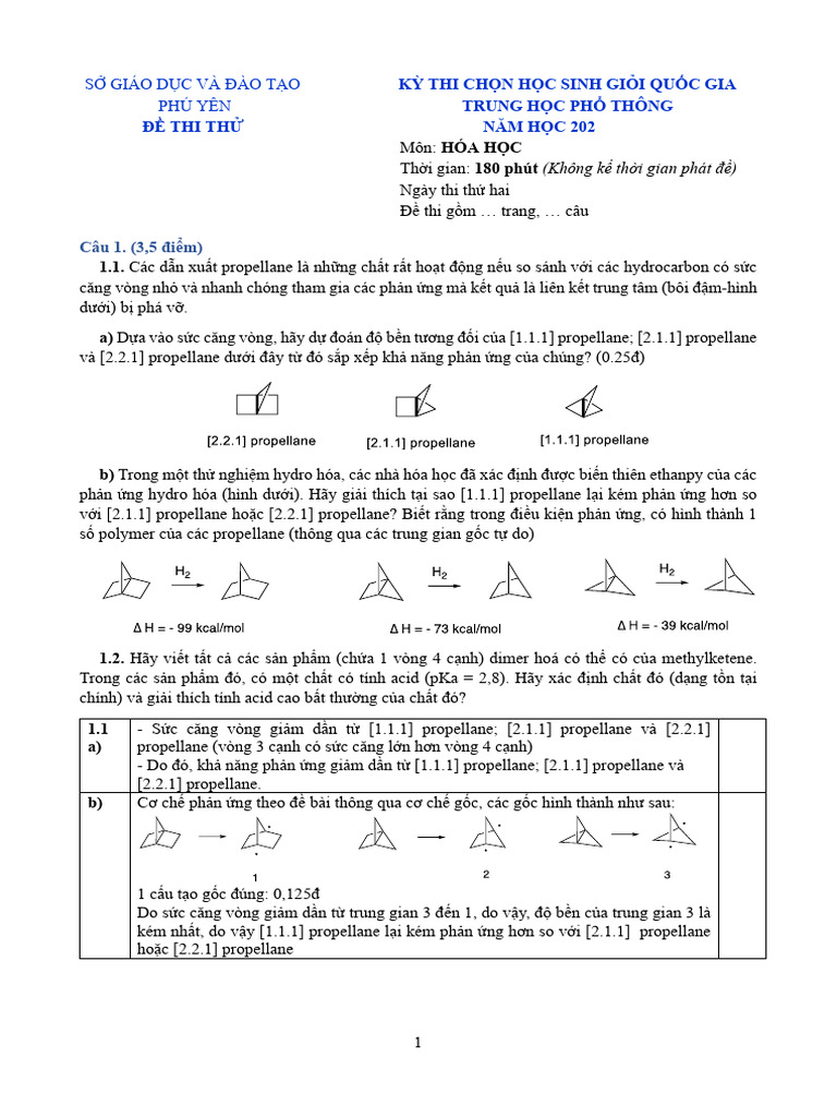 2024 - KT Doi Tuyen Ngay 2 - HDC | PDF