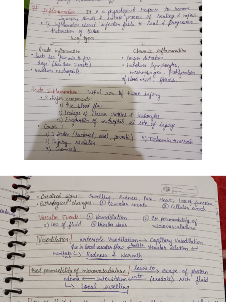 Inflammation and Its Types | PDF