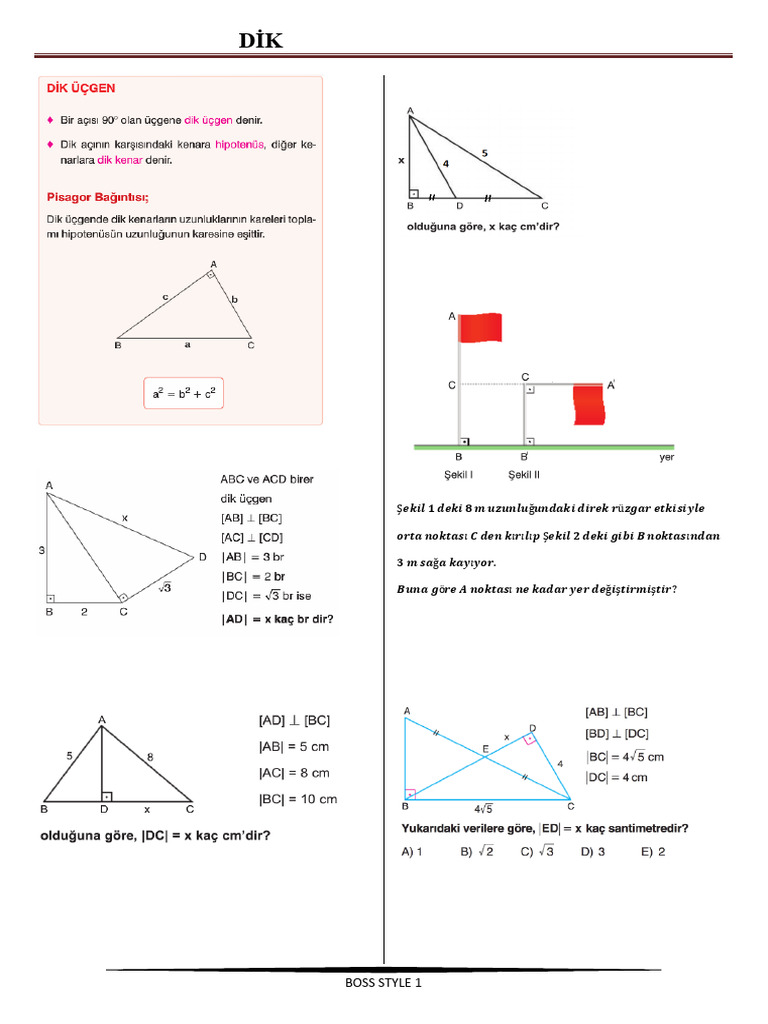 dik-ve-zel-genler-pdf