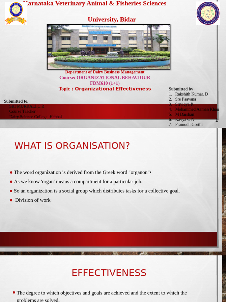 Organizational Effectiveness PPT-1 | PDF | Goal | System