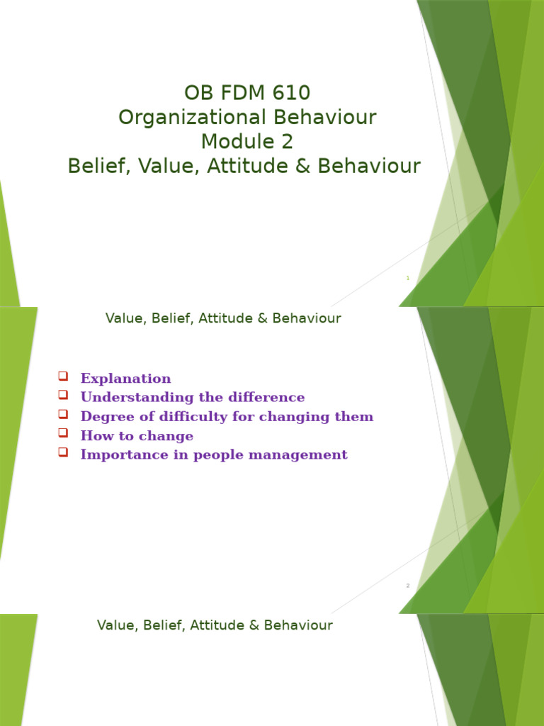 Understanding Values & Attitudes | PDF | Attitude (Psychology) | Behavior
