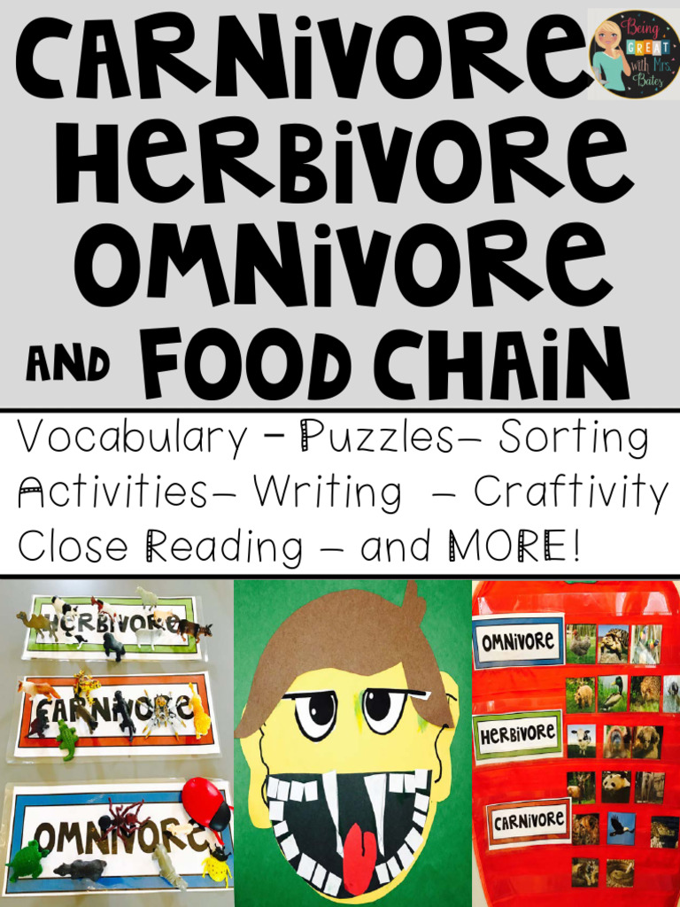 Food Chain: Vocabulary Puzzles-Sorting Activities - Writing ...