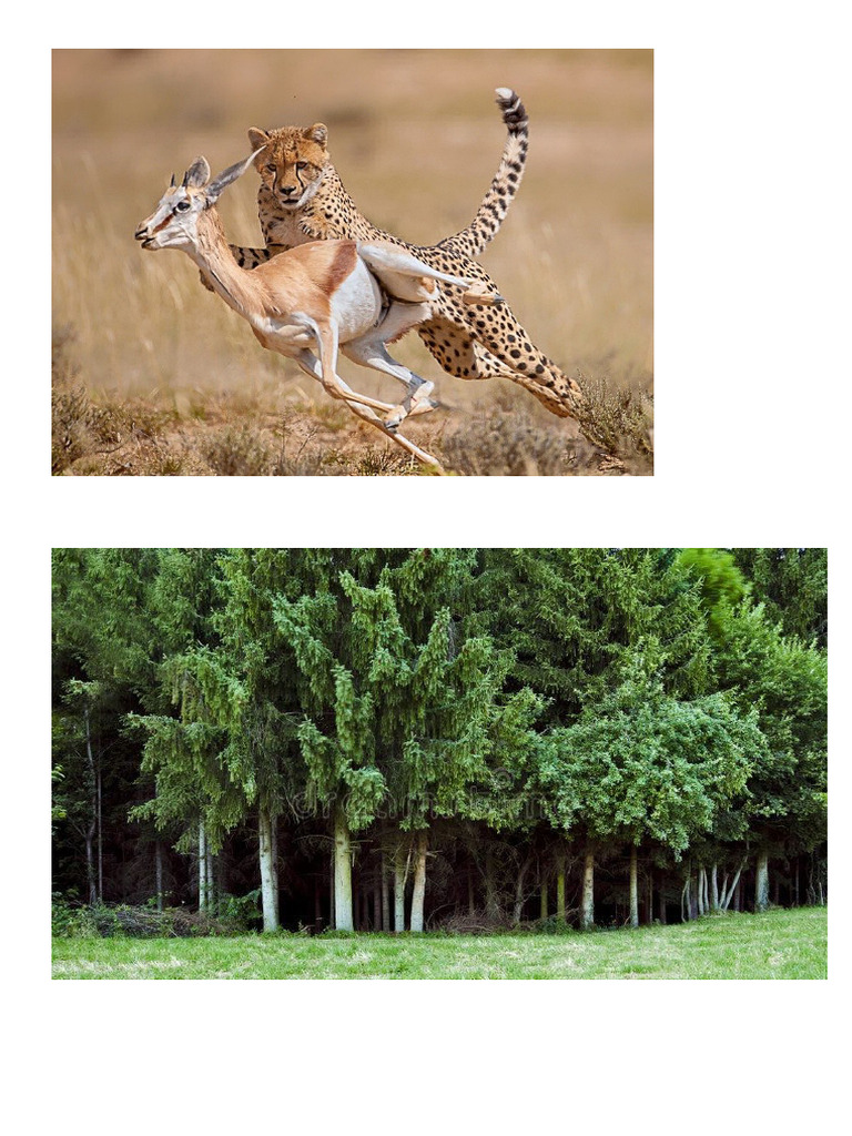 evs interactions practical images | PDF