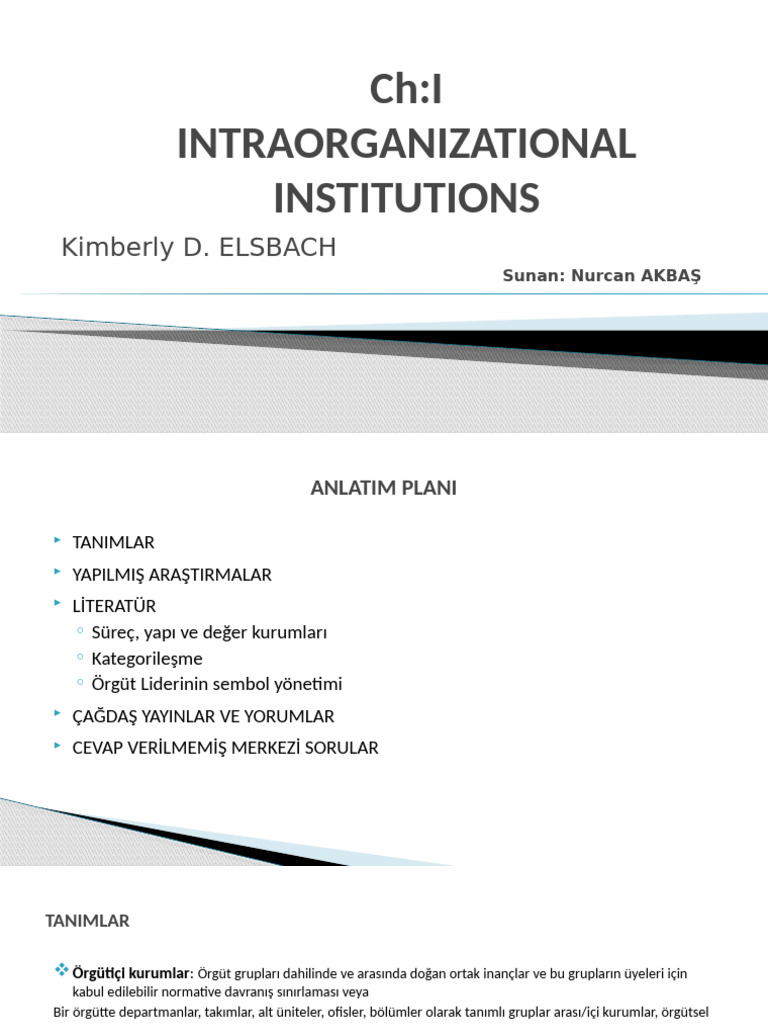Nurcan Chapter 1 Part 1 Intraorganizational Institutions Nurcan | PDF